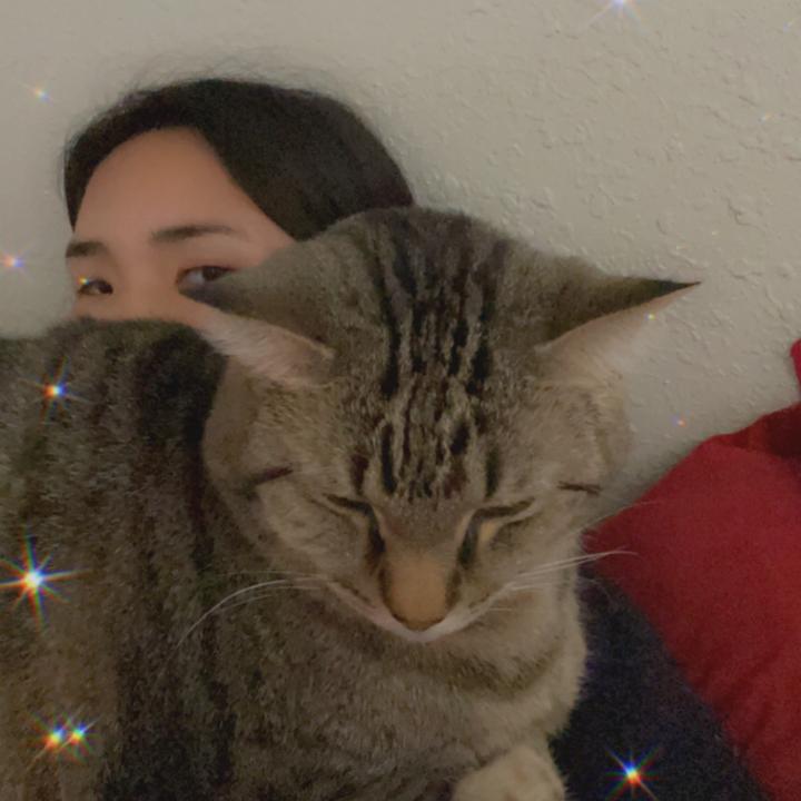 🦄 @_heyrori - Rori Elliot (Neko) - TikTok