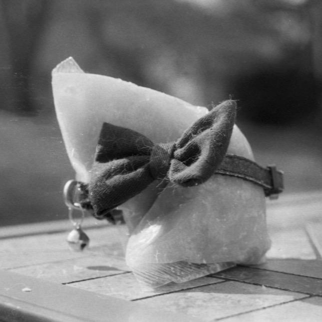 🦄 @charlieaustenarts - Charlie Austen - TikTok